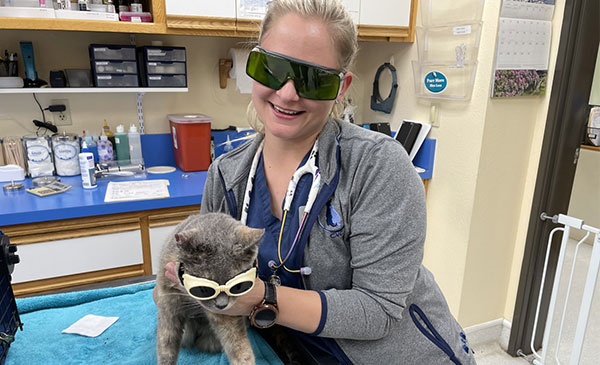 AAHA - Vet in Auburn | Companion Veterinary Clinic